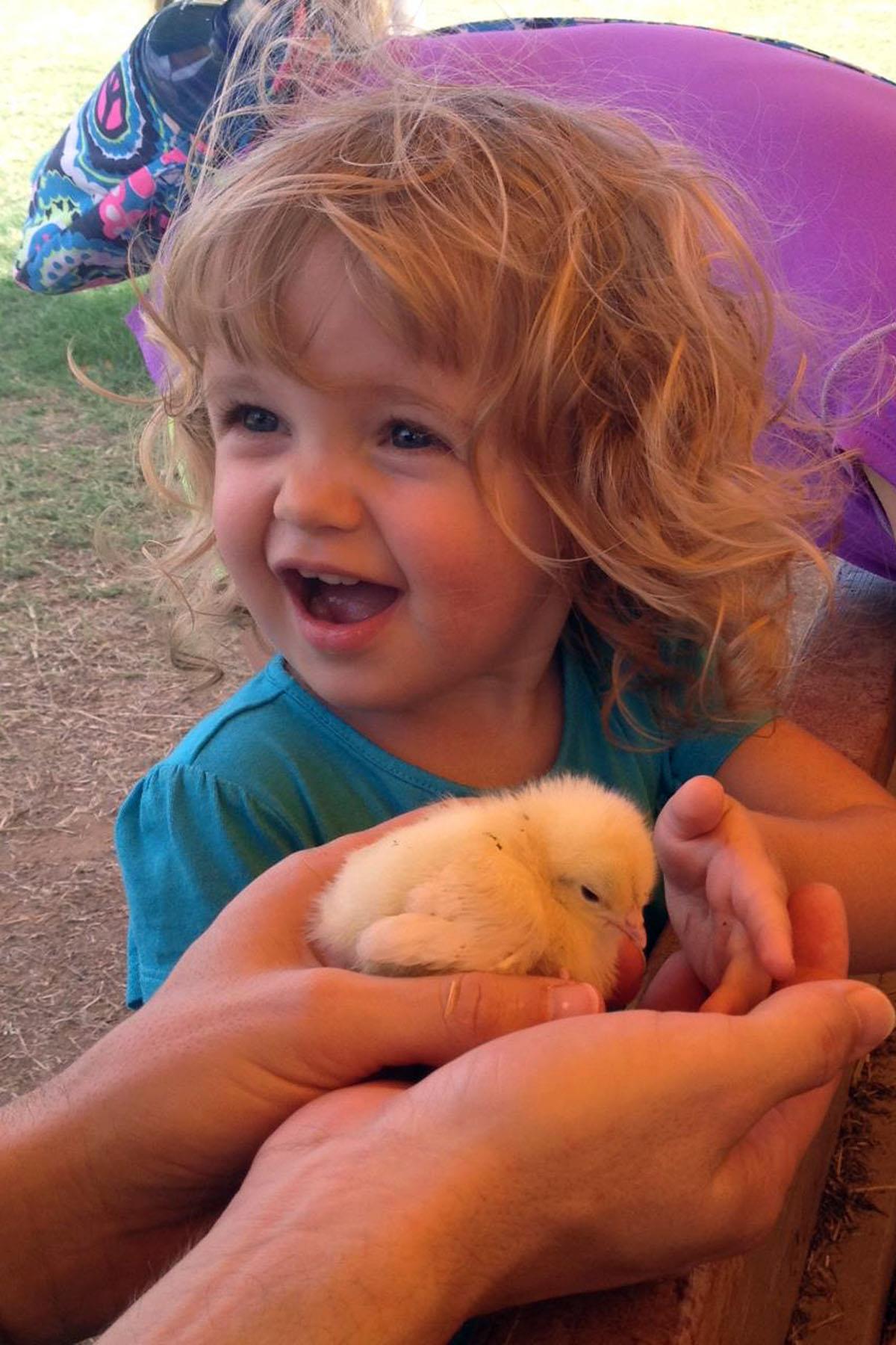 Green Meadows Farm, petting farm, animal park, petting zoo%